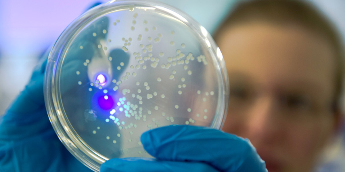 Bacteria that hold clues to the origins of life - Press Office ...