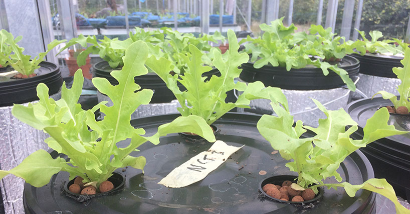 jam jar city farms - Press Office - Newcastle University