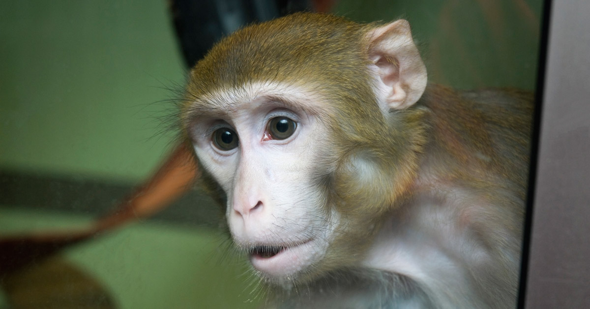 Prof Stuart Baker The Conversation - Press Office - Newcastle University
