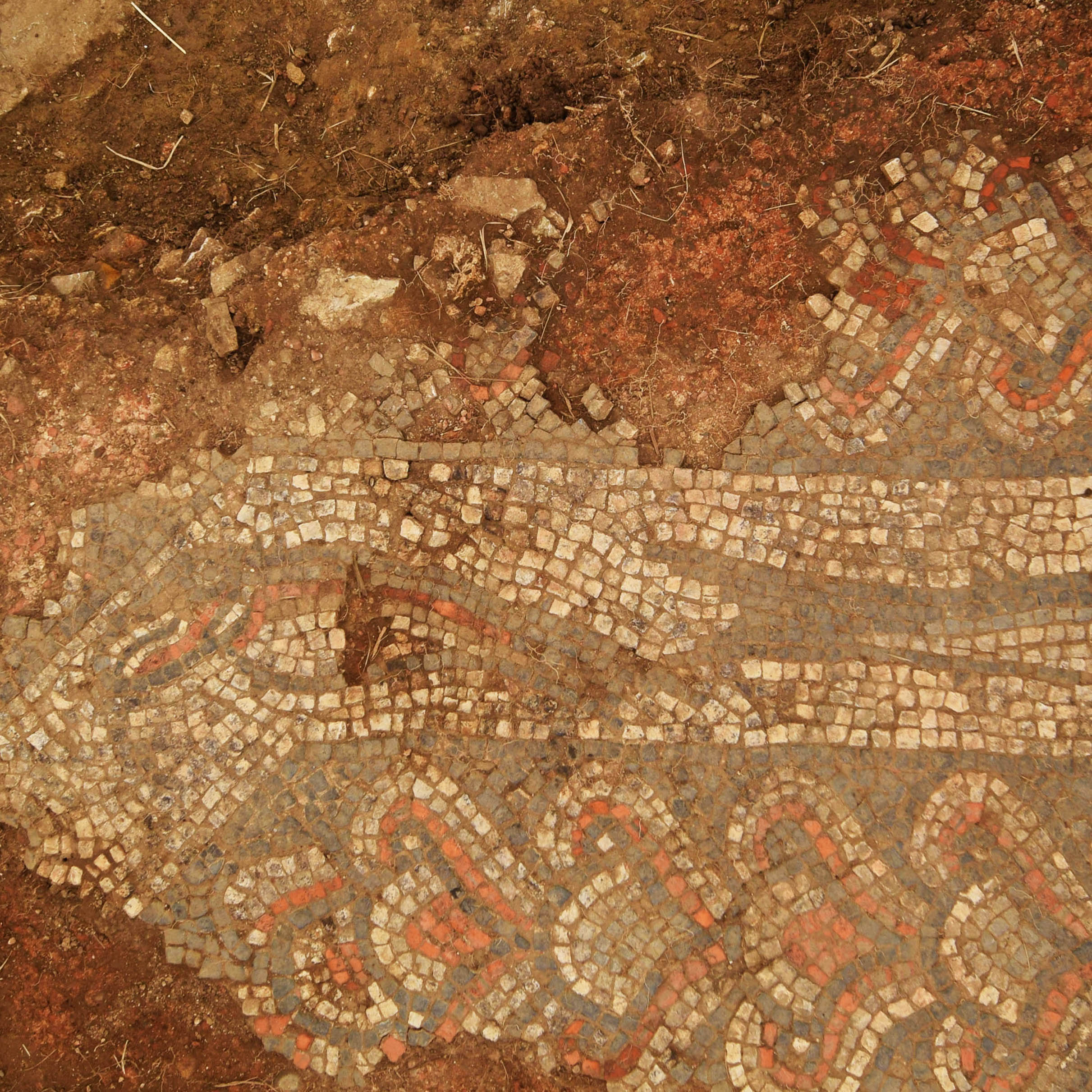 Lufton update - Press Office - Newcastle University