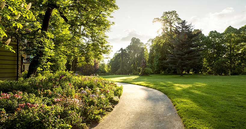 green space good - Press Office - Newcastle University
