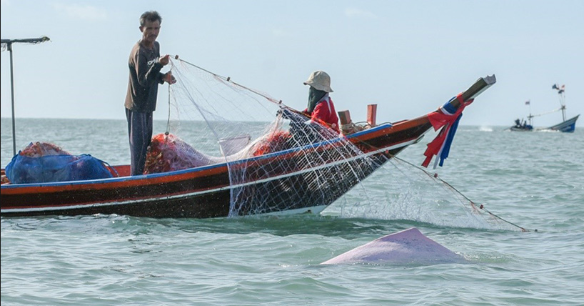 small-scale fisheries in Thailand - Press Office - Newcastle University