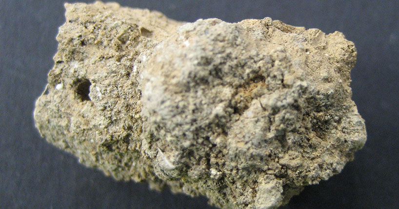 ancient poo - Press Office - Newcastle University