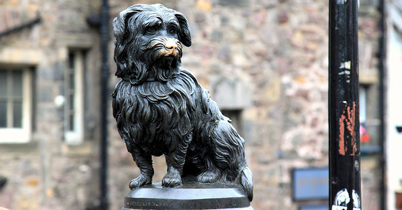 Animal memorials - Press Office - Newcastle University