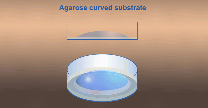 Curve eye ture - Press Office - Newcastle University