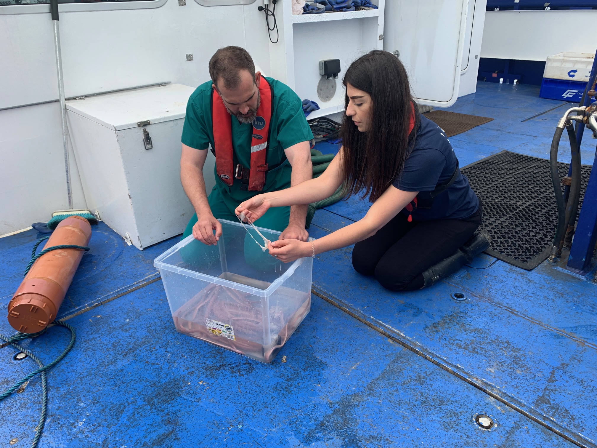 Operation ouch - Press Office - Newcastle University